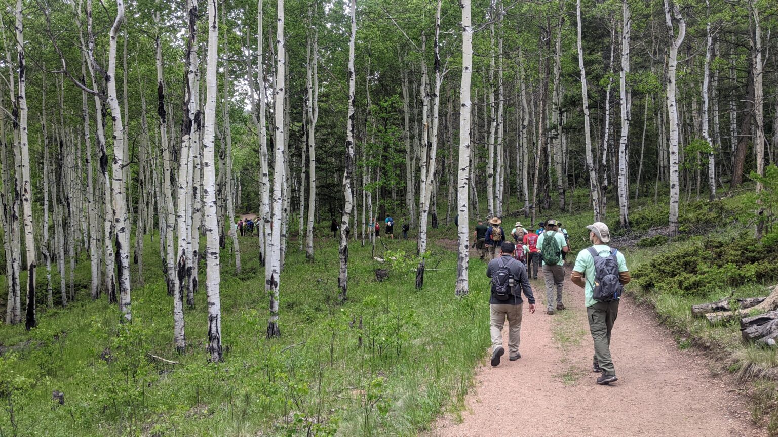 Troop Long Term Camping – Plano Troop 1000 — Boy Scouts of America